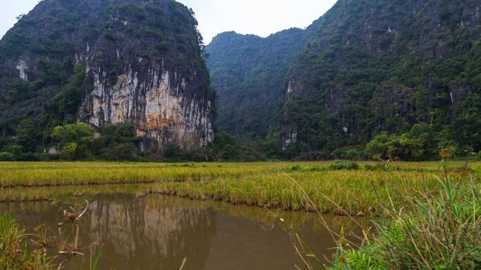 Khám phá bộ sưu tập hơn 50 bức ảnh tuyệt đẹp về Tây Ninh, mang đến những cảnh sắc ấn tượng và ...